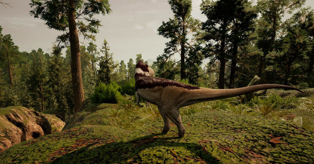 Come creare un server Path of Titans: istruzioni - IONOS