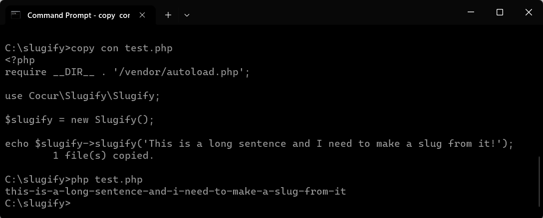Installare e utilizzare Composer su Windows 11 - IONOS