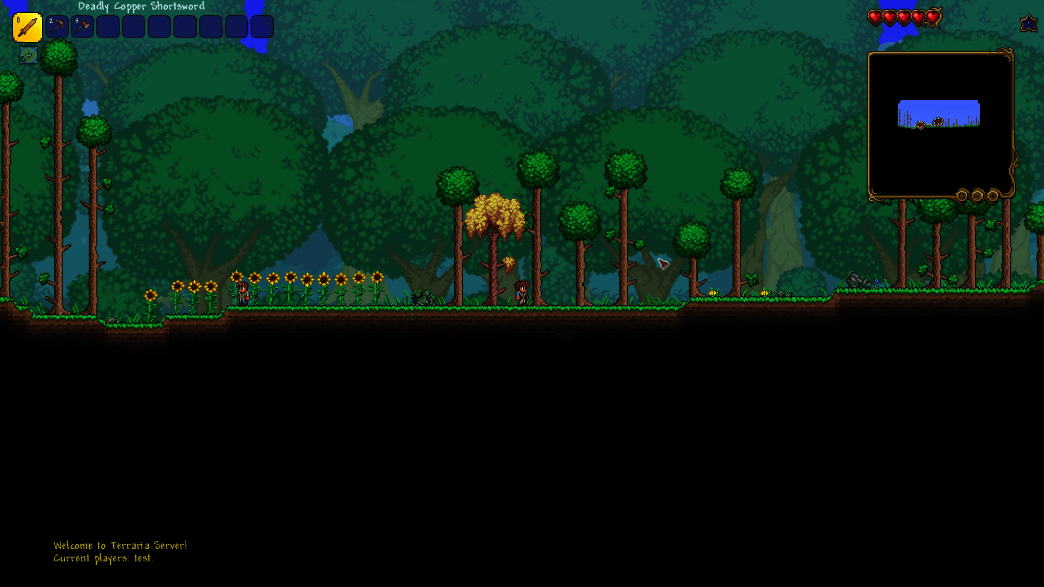 Server Terraria: hosting e tutorial per l’installazione - IONOS